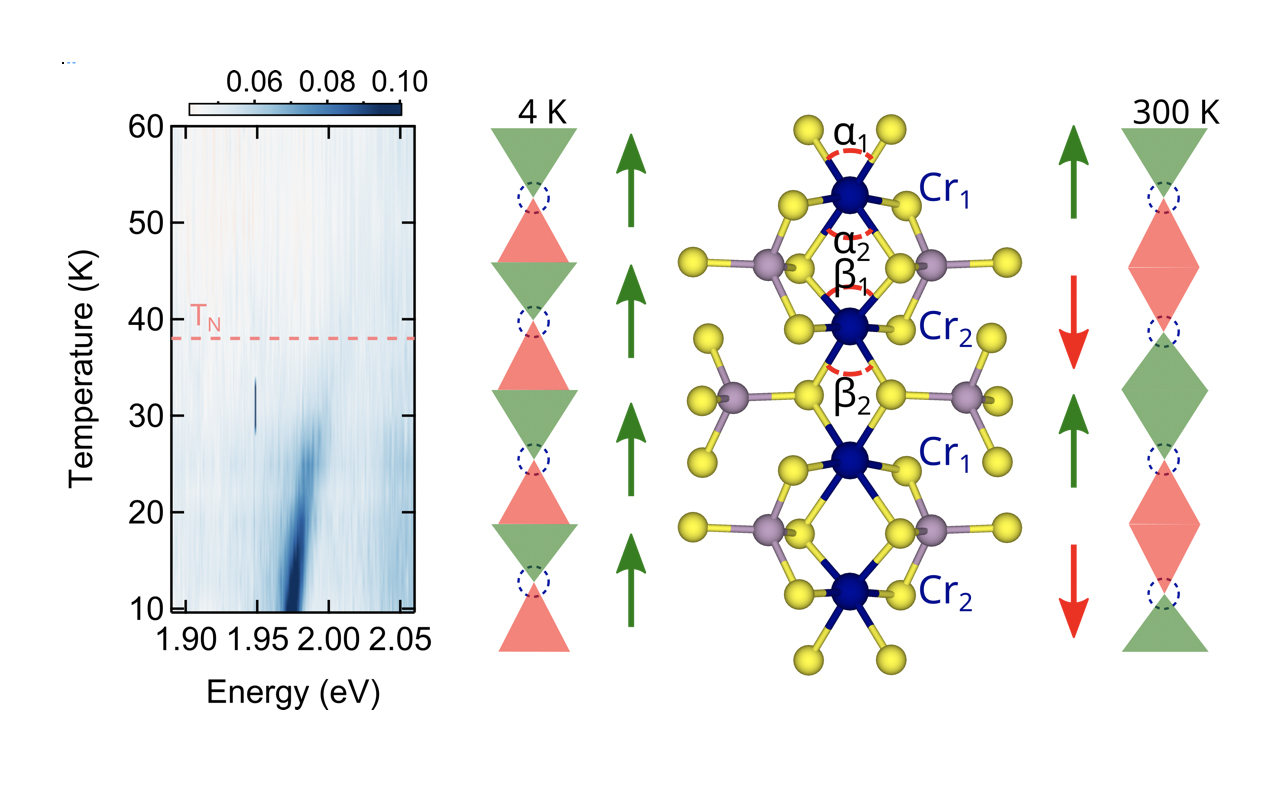 Brightened Optical Transition as Indicator of Multiferroicity in a ...